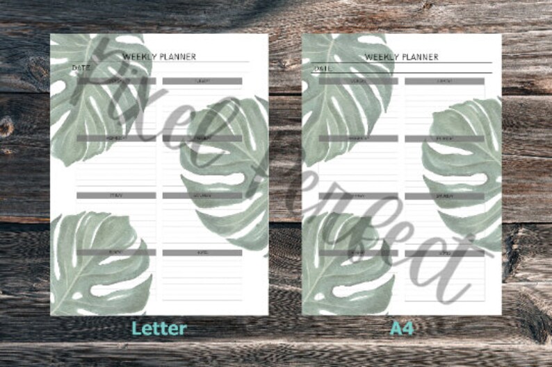 Monstera Daily and Weekly Printable Planner Page Bundle Letter A4 ...