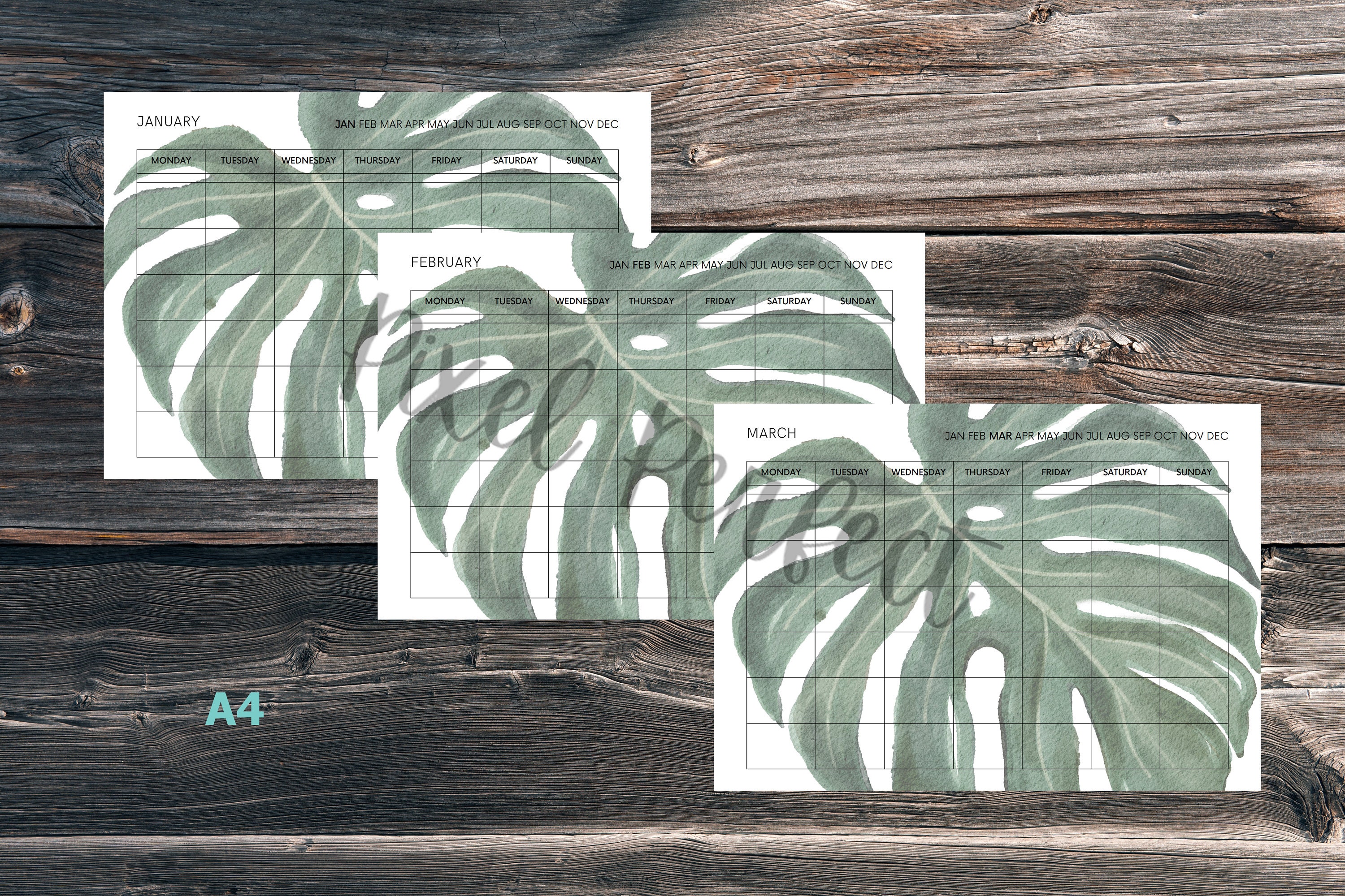 Non-dated Monstera Printable Monthly Calendar Letter A4 Printable 12 ...