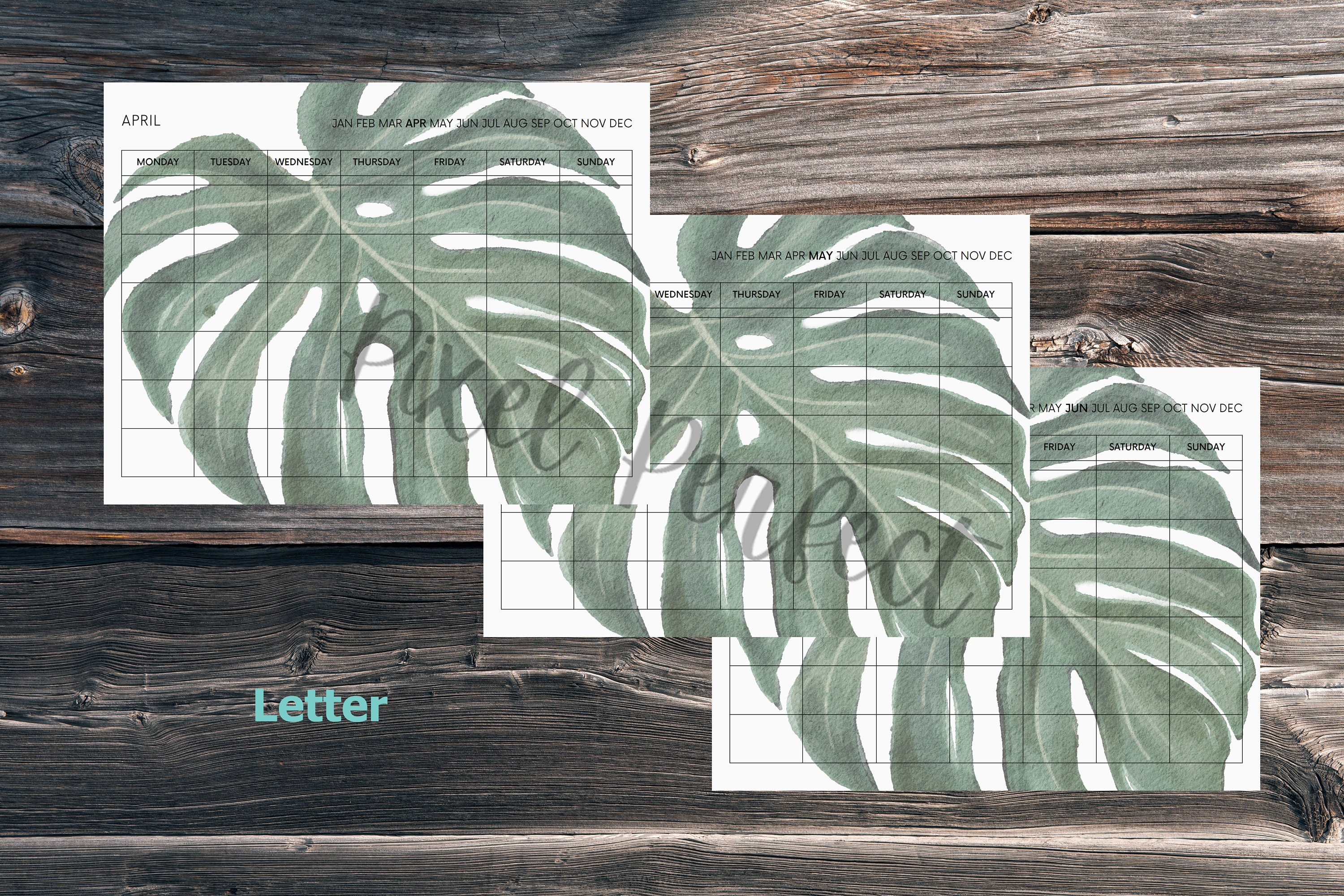 Non-dated Monstera Printable Monthly Calendar Letter A4 Printable 12 ...