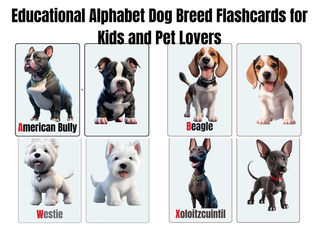 Alfabeto educativo de razas de perros Flashcards para niños y amantes ...