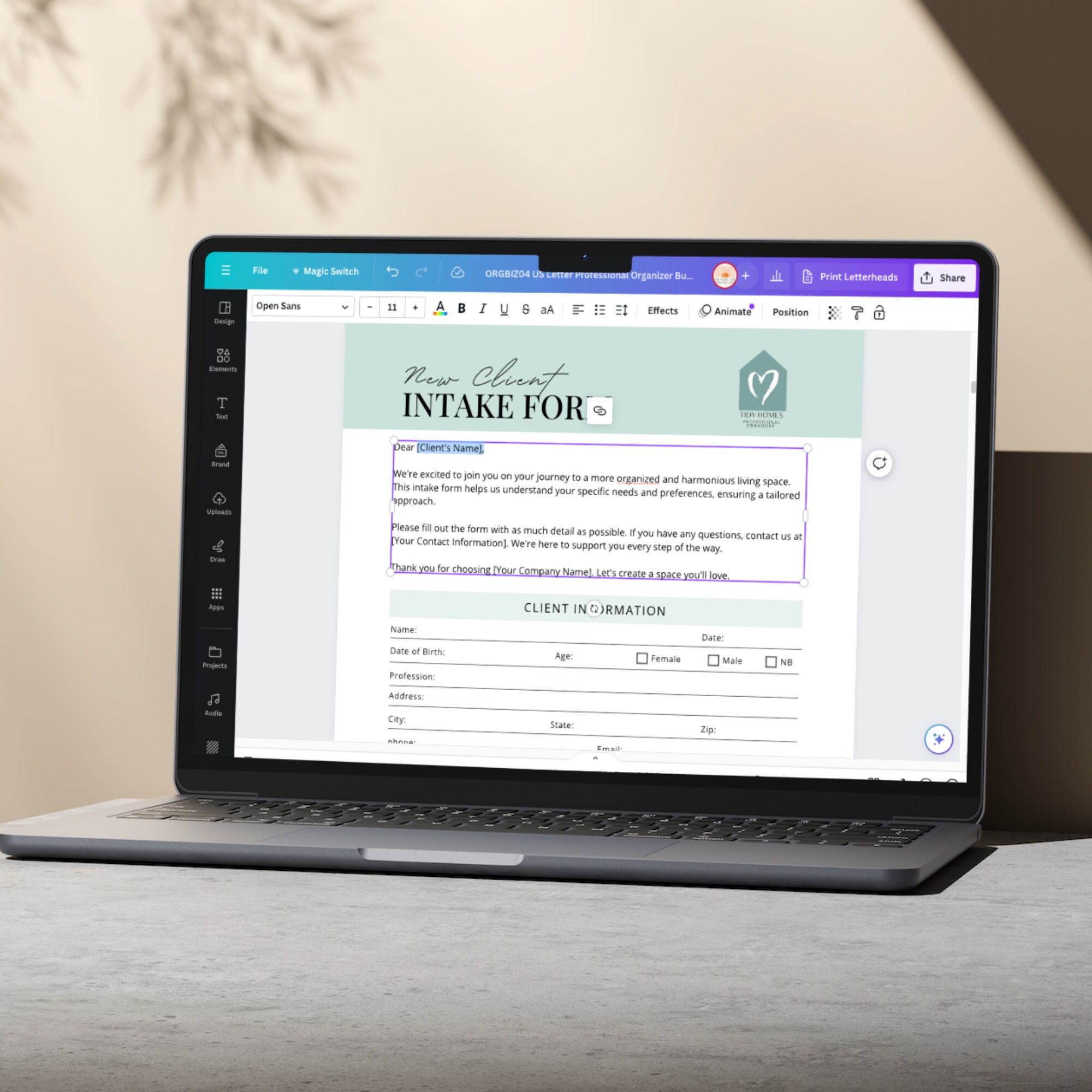 Professional Home Organizer Contract Template, Client Intake Form ...
