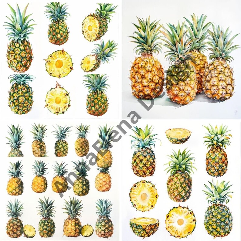Pineapple Clipart, Pineapple Watercolor, Pineapple Clip Art, Nursery ...