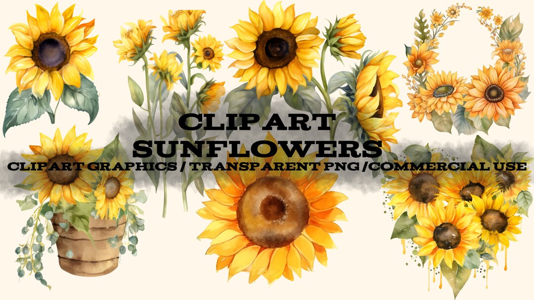 Watercolor Sunflowers Clipart - Digital Clipart Png - Flowers Clipart ...