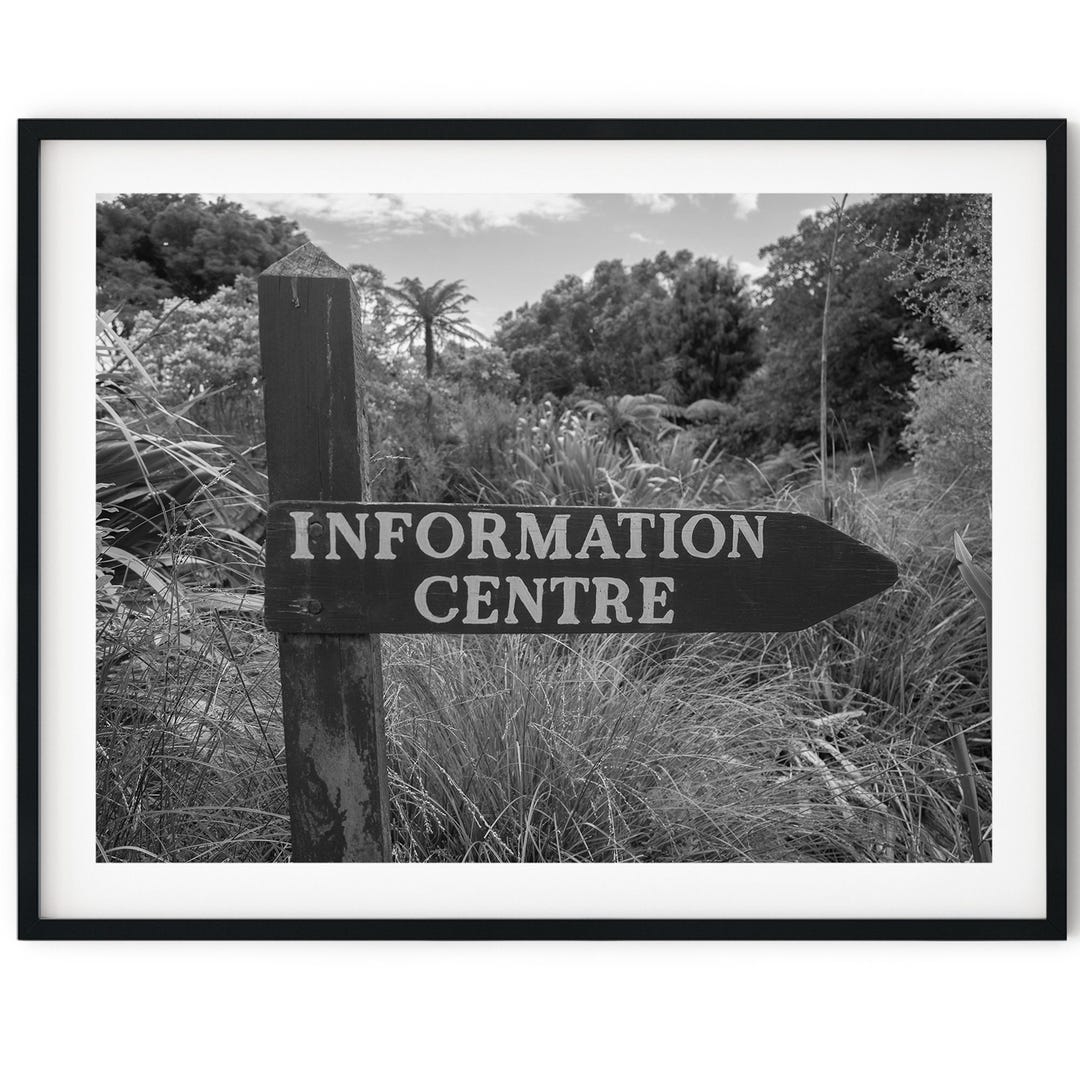 Black and White Photo Instant Digital Download Wall Art Print ...