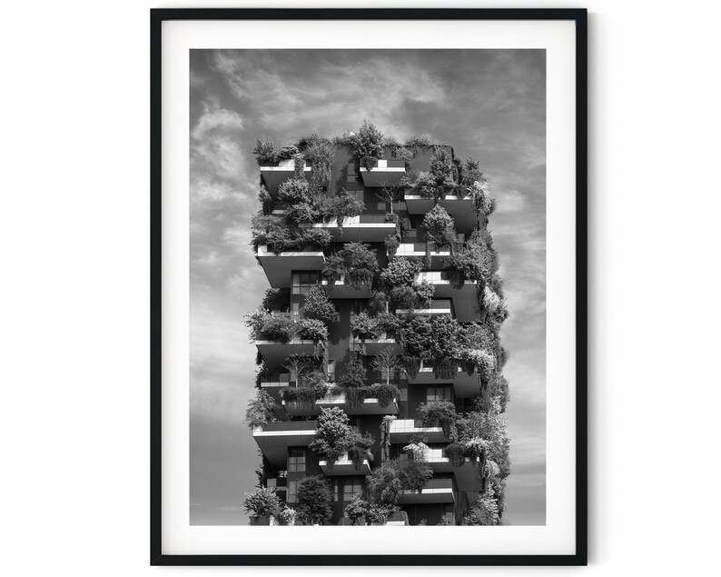 Schwarzweiß-Foto-sofortiger digitaler Download Wand-Kunst-Druck Umwelt ...