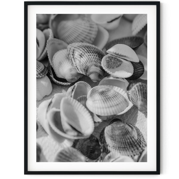 Shell Art Print - Etsy