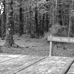 Black and White Photo Instant Digital Download Wall Art Print Total ...