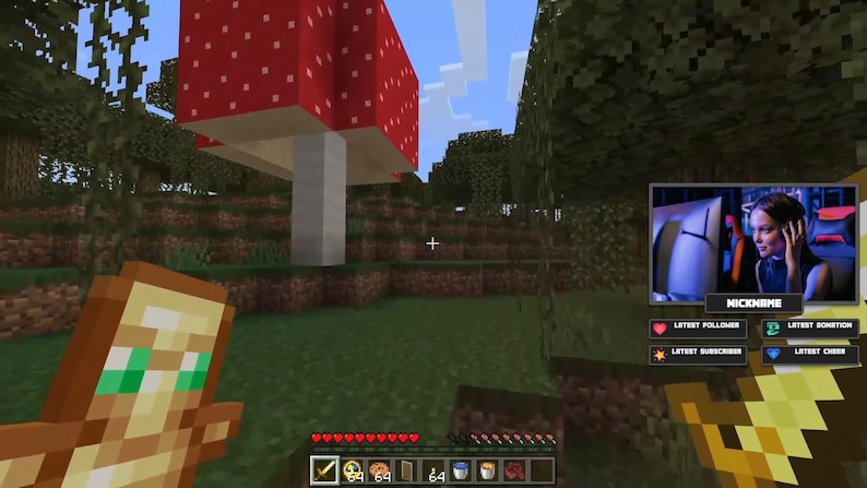 Minecraft Animated Stream Overlay for OBS. Twitch, Youtube, Kick ...