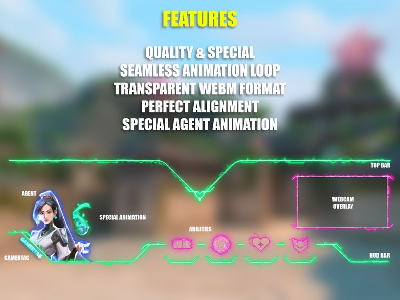 Valorant Agent Sage Custom Animated Hud Bar Overlay for Twitch, Youtube ...