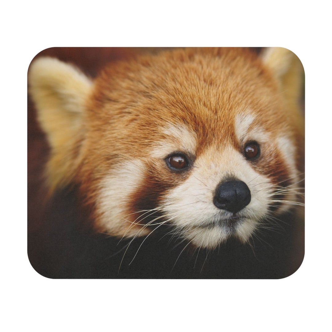 Red Panda Mouse Pad, Cute Panda Cub Mouse Mat, Endangered Himalayan ...