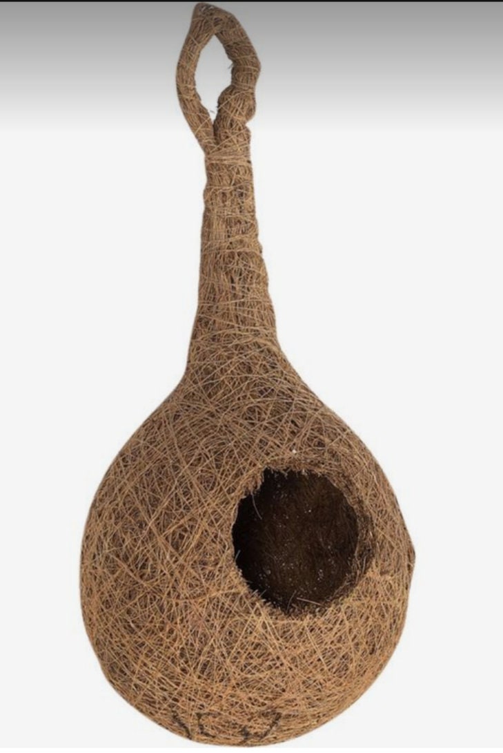 Coconut Coir Nest for Feeding Birds - Etsy
