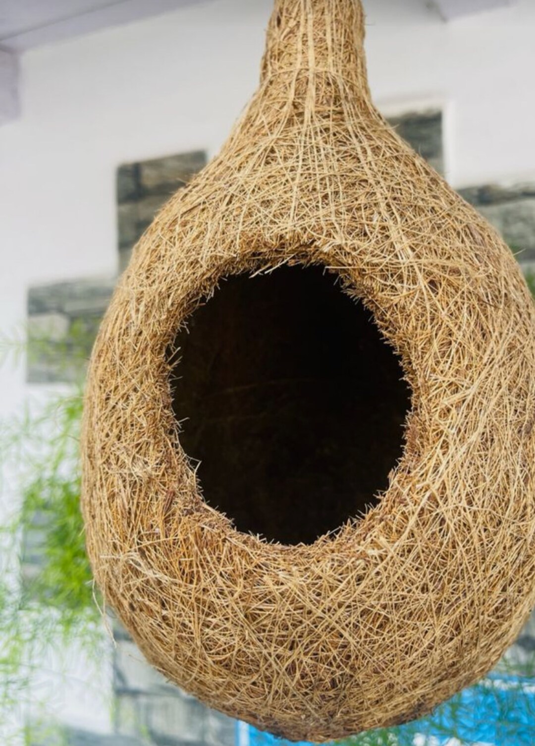 Coconut Coir Nest for Feeding Birds - Etsy