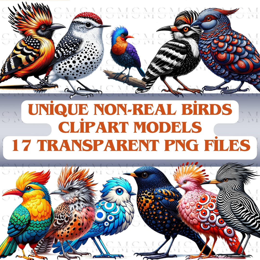Unique Unreal Birds Clipart, Colorful Birds, High Quality, Junk Journal ...