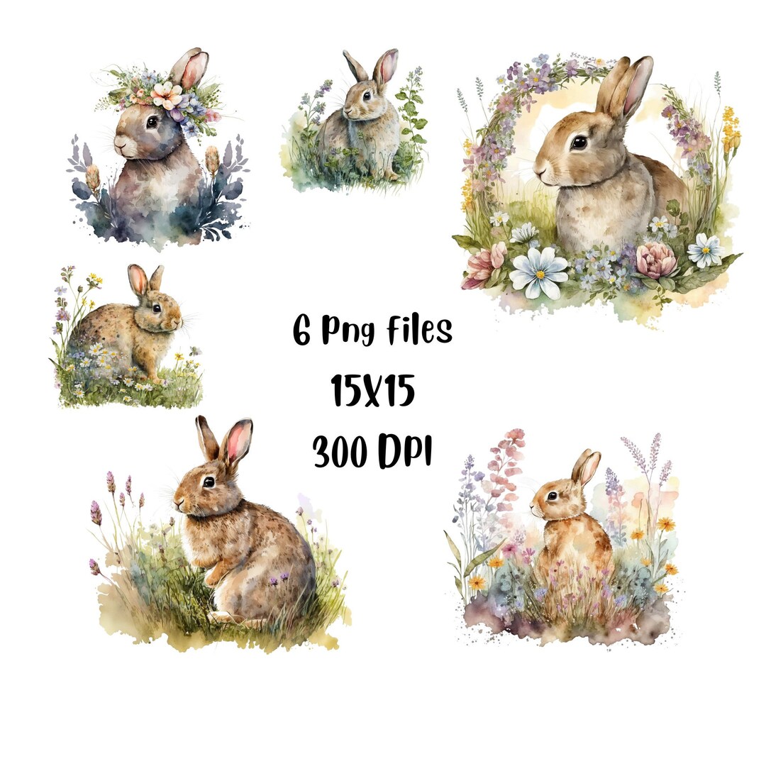 Watercolor Bunny Clipart, Sublimation, PNG - Etsy