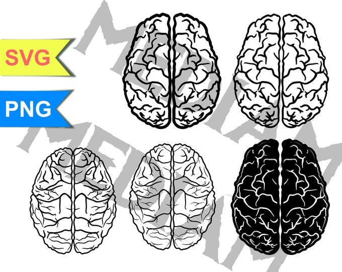Brain SVG Bundle, Brain Png, Brain Clipart, Brain Cut File, Brain ...