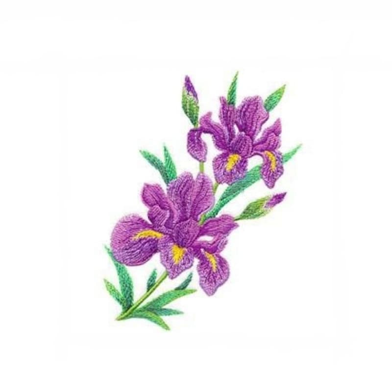 Iris Embroidery - Etsy