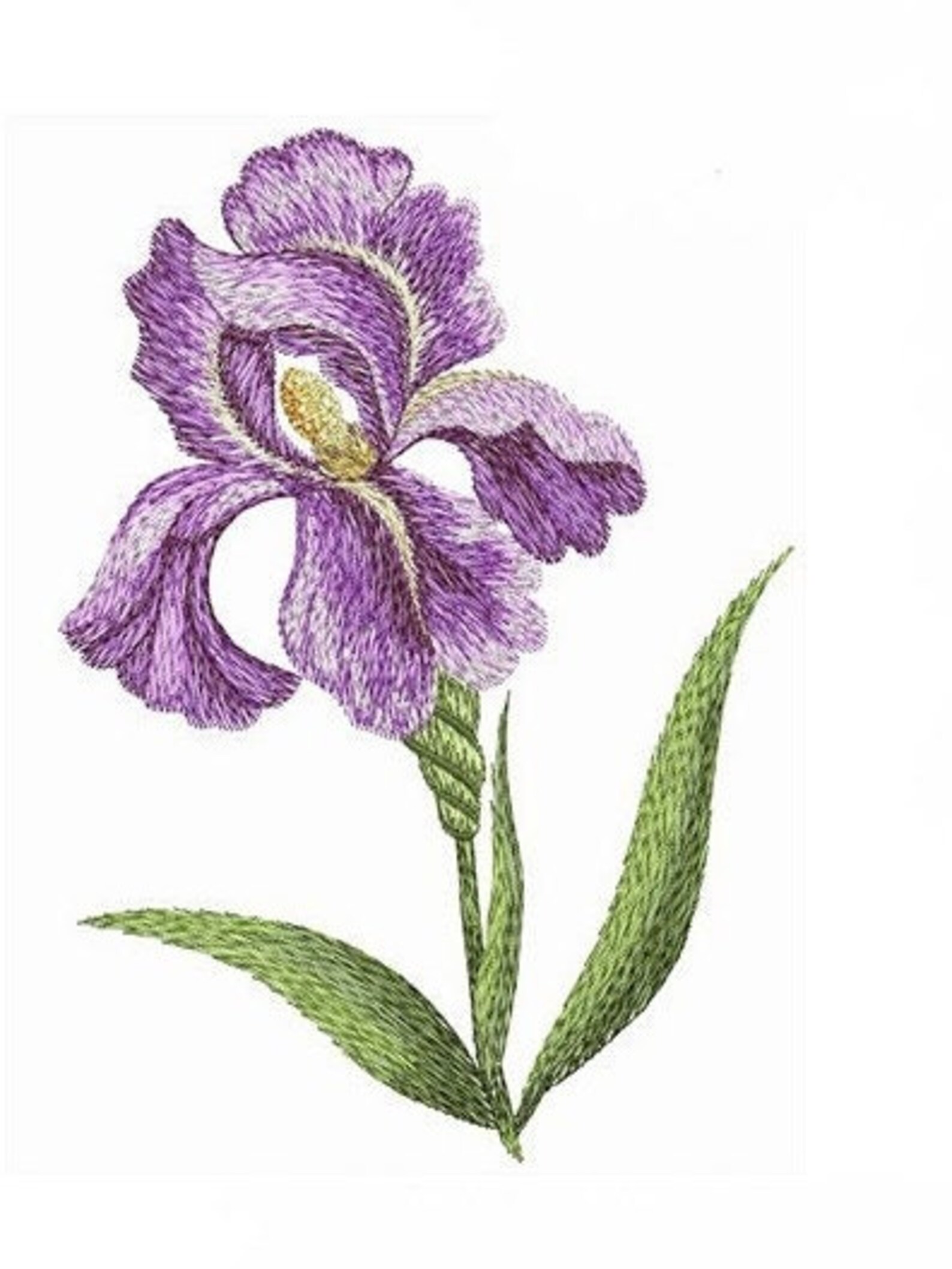 Iris Flower, Blooming Iris Machine Embroidery Design Files, Instant ...