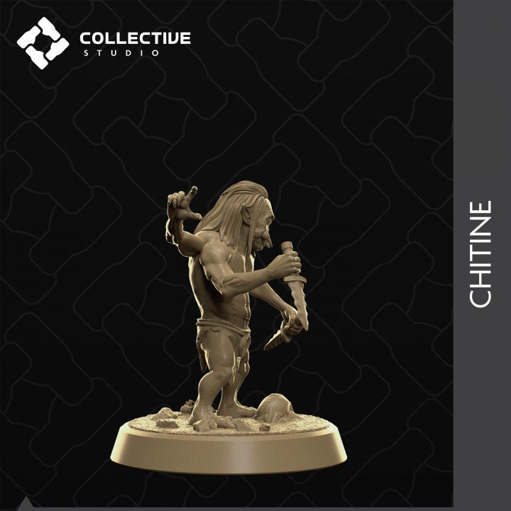 Chitine 3D Printed Miniature for D&D TTRPG Games Tabletop High Detailed ...