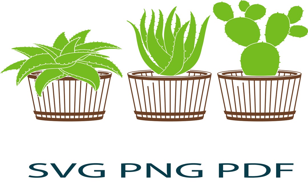 Cactus Trio. Layered SVG .png. Jpg. Pdf - Etsy