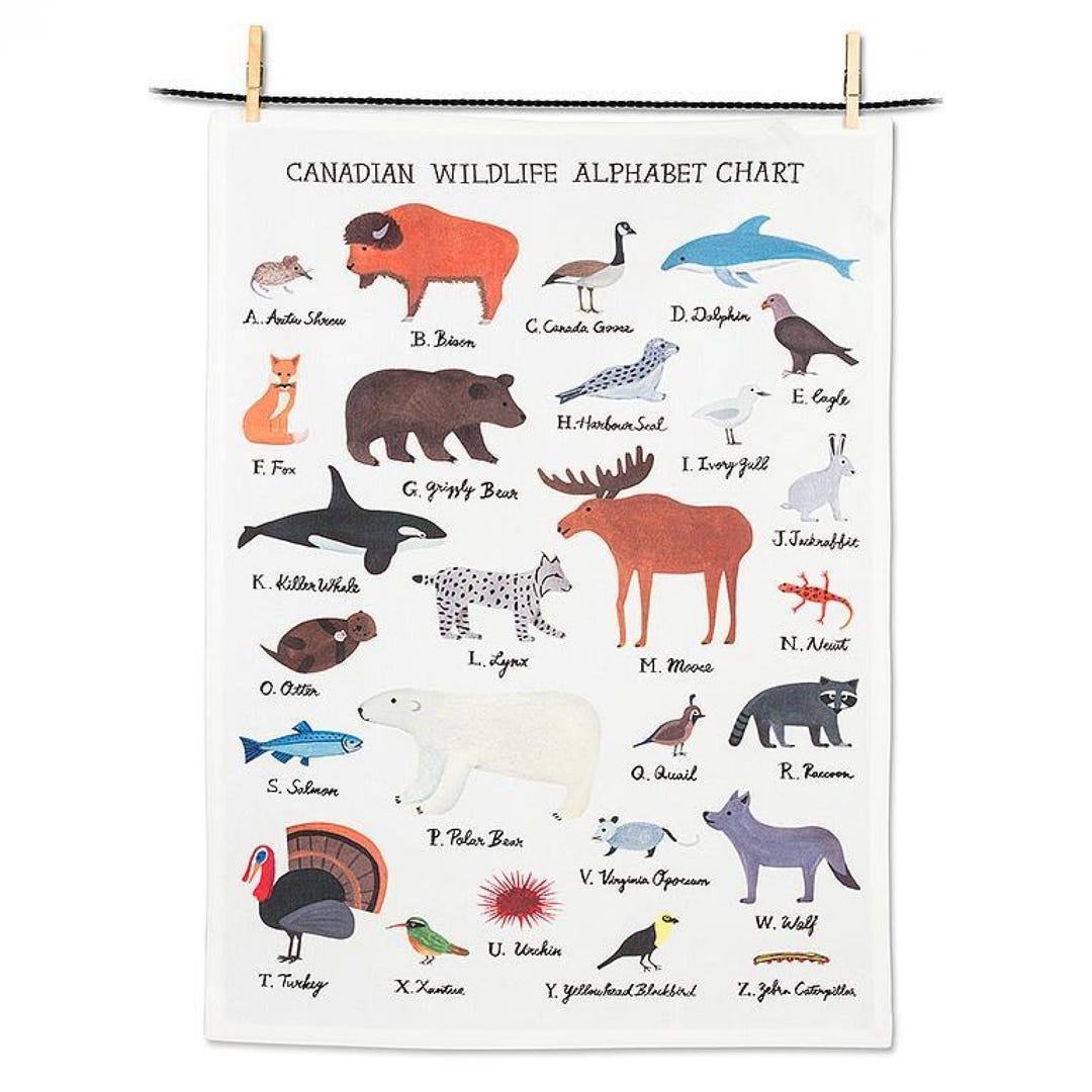 Set of 12 Canadian Wildlife Alphabet Chart Tea Towel - Etsy