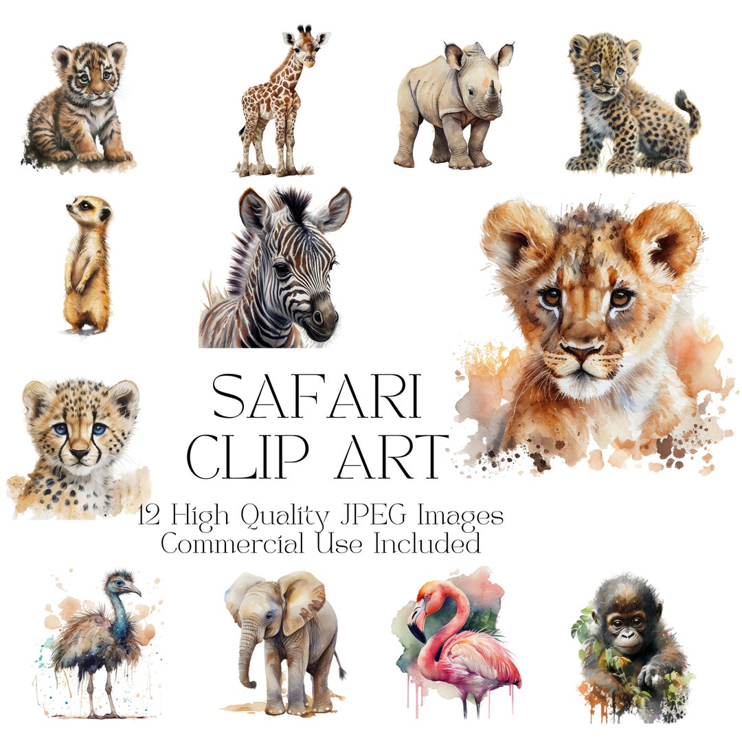 African Jungle Animals Clip Art – 12 High Quality Jpegs – Clip Art ...