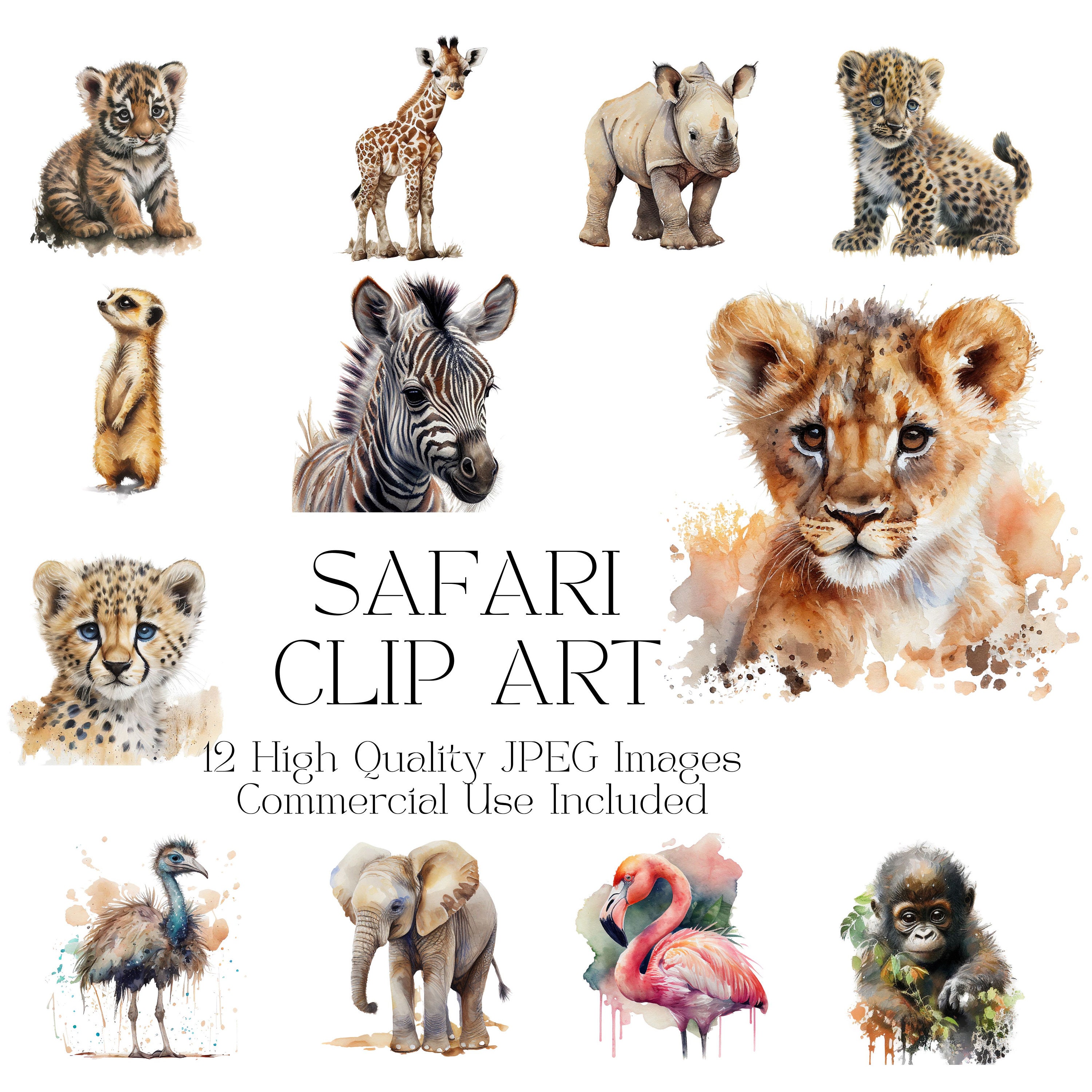 African Jungle Animals Clip Art 12 High Quality Jpegs Clip Art ...