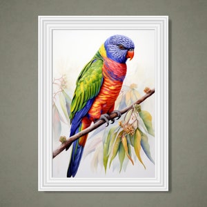 Rainbow Lorikeet Watercolor Painting, Australian Bird Art (digital ...