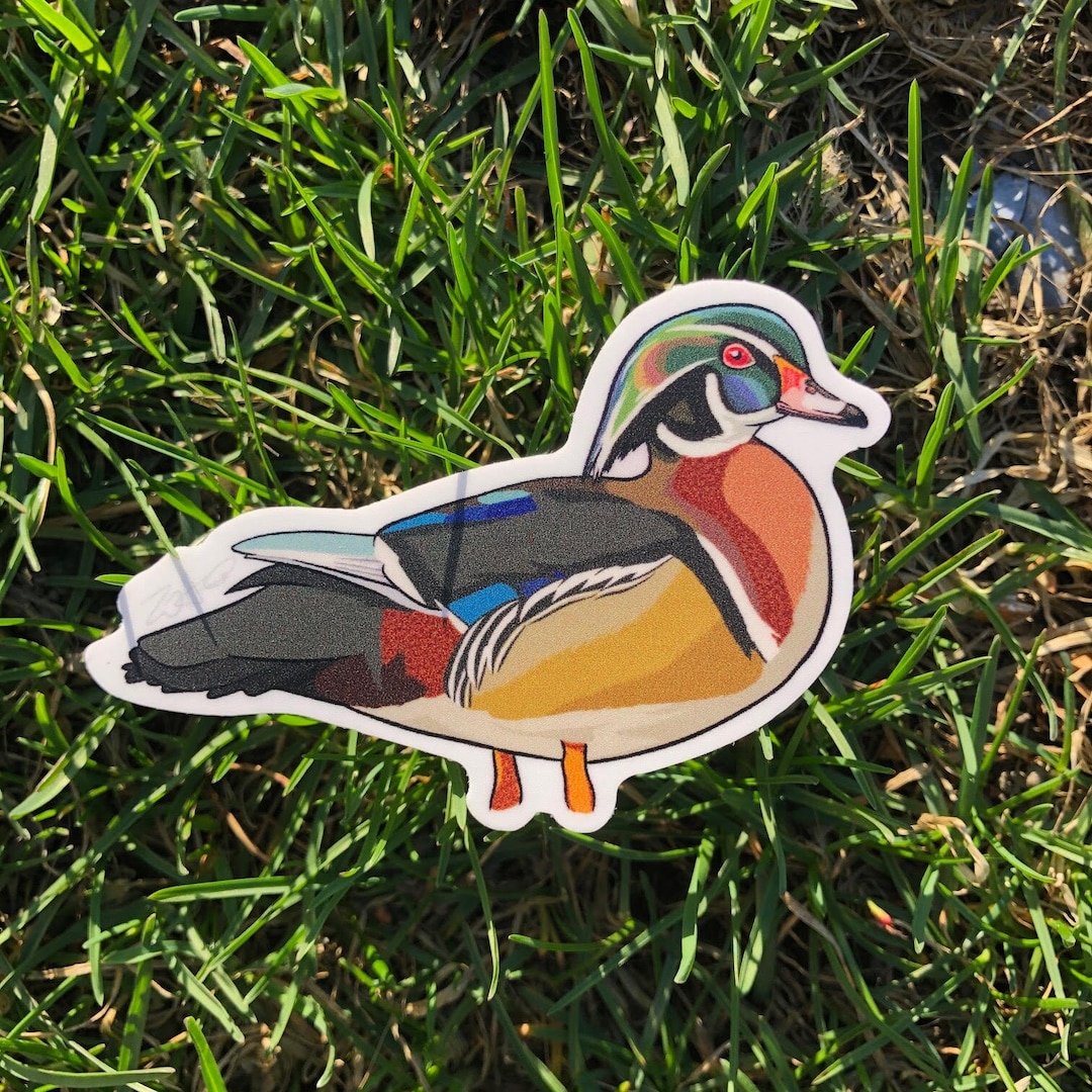Wood Duck Sticker - Etsy