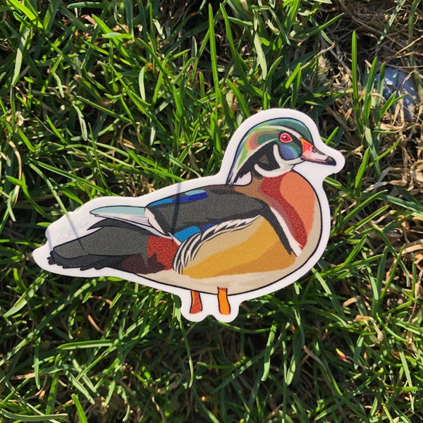 Wood Duck - Etsy