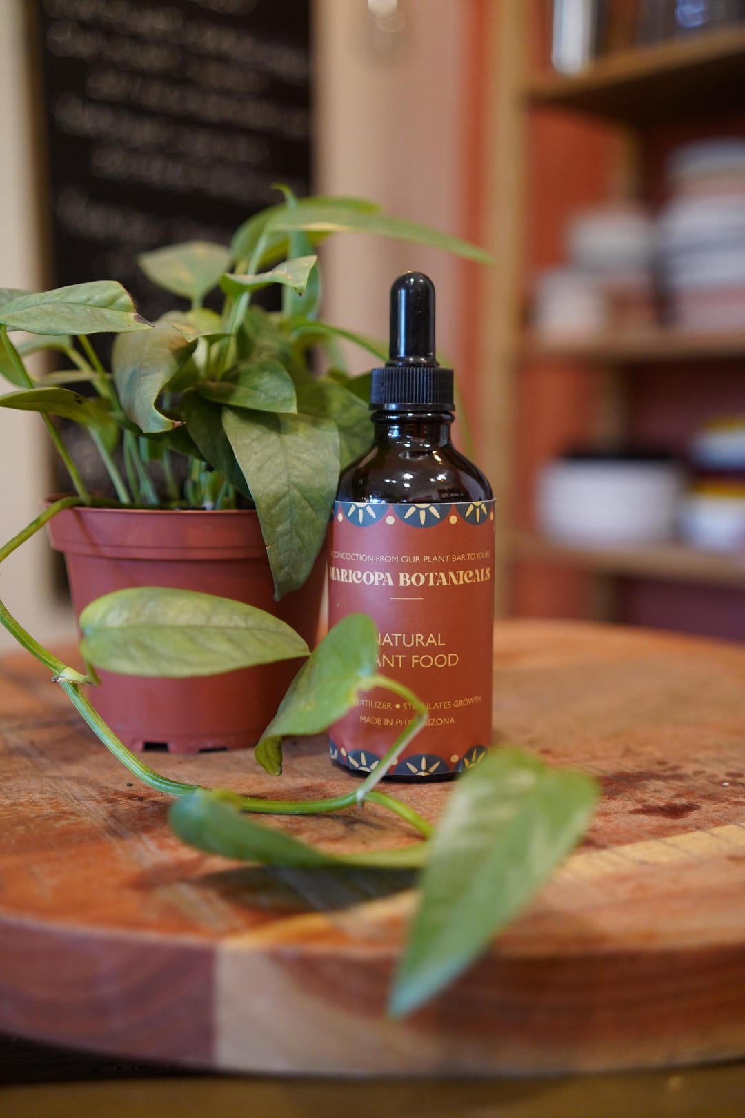 Liquid Worm Casting Fertilizer – Natural Plant Food | Maricopa ...