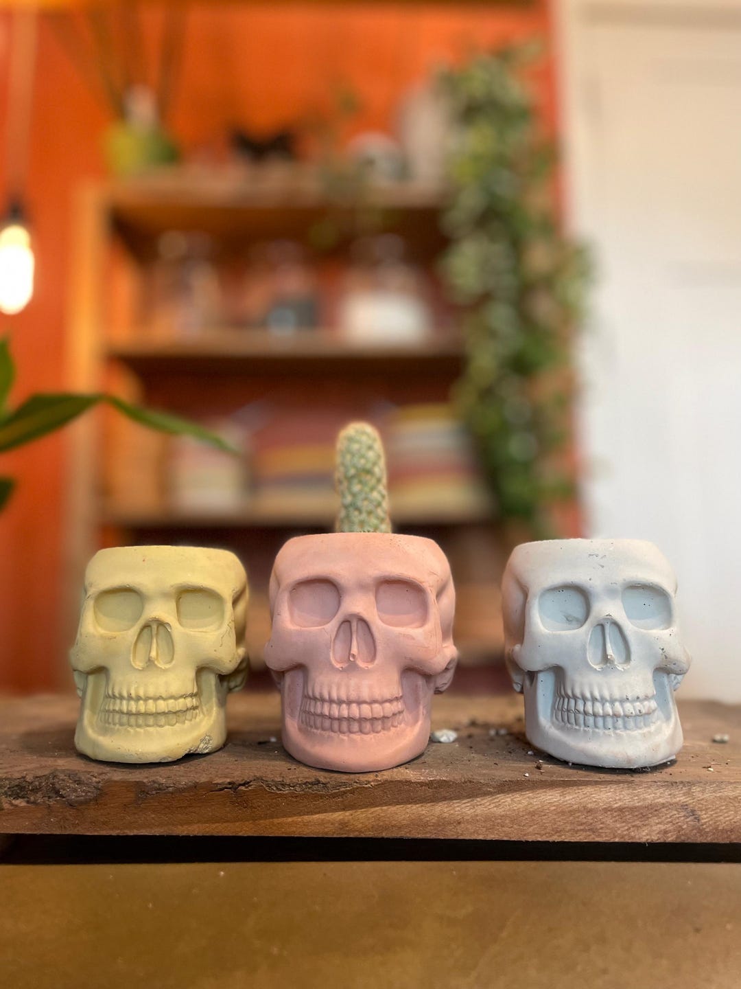 Skull Planter – Terracotta Skull Pot for Succulents, Cactus, Halloween ...