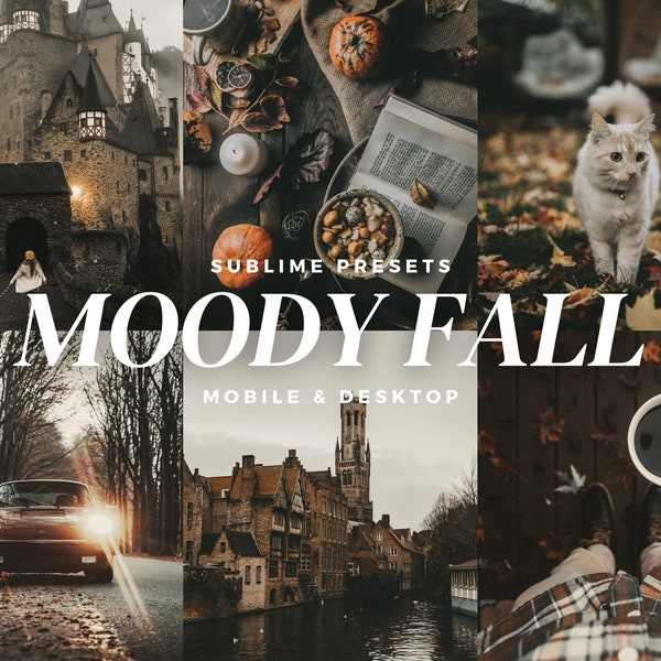 Fall Presets - Etsy