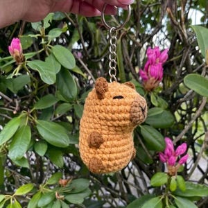 Crochet Capybara Keychain, Cute Amigurumi Capybara Plush, Frog Bee ...