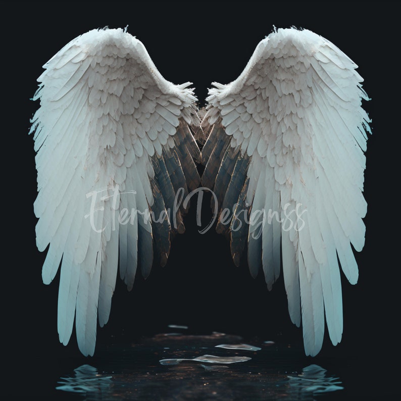 Angel Wings PNG | Maternity Background | Angel Wings Backdrop | Angel ...