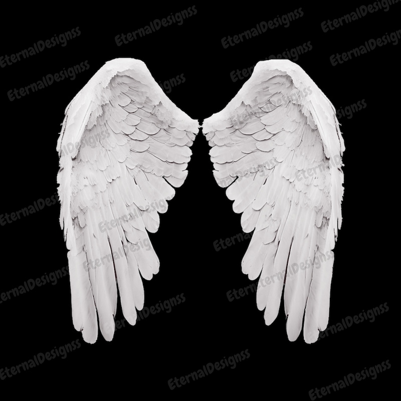White Wings - Etsy