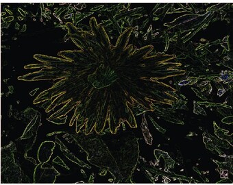 Dandelion Prints, Digital Prints, Printable Wall Art, Nature Print ...