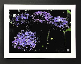 Overgrown Lilac Bush Cascades Over Old House. Printable Art, Horizontal ...