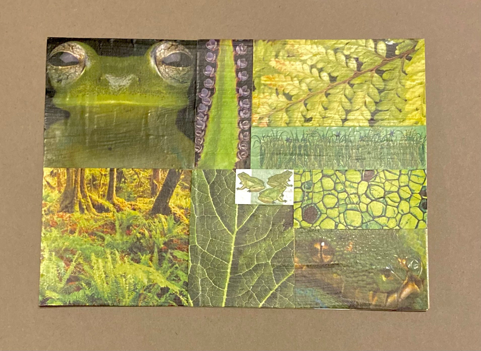 Collage Card Light Green Frogs - Etsy
