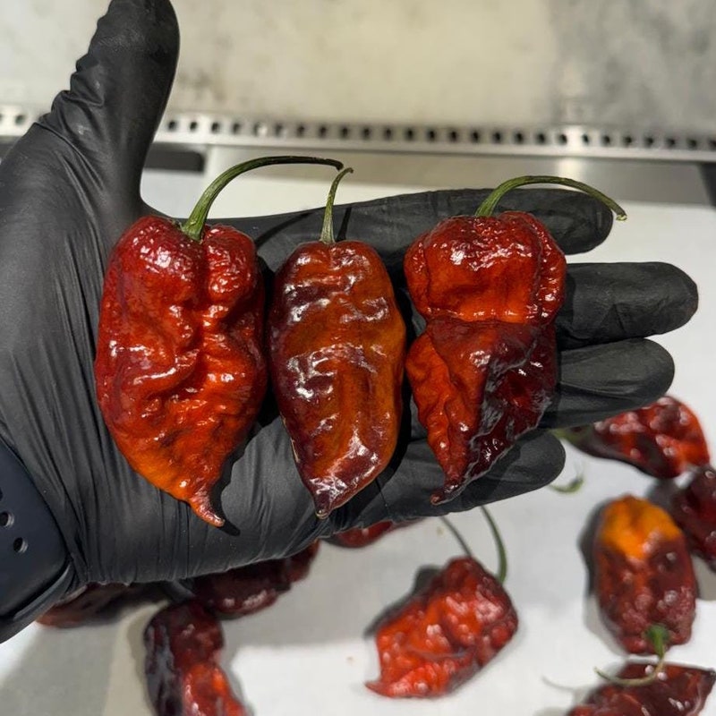 Hot Pepper Seeds - Etsy