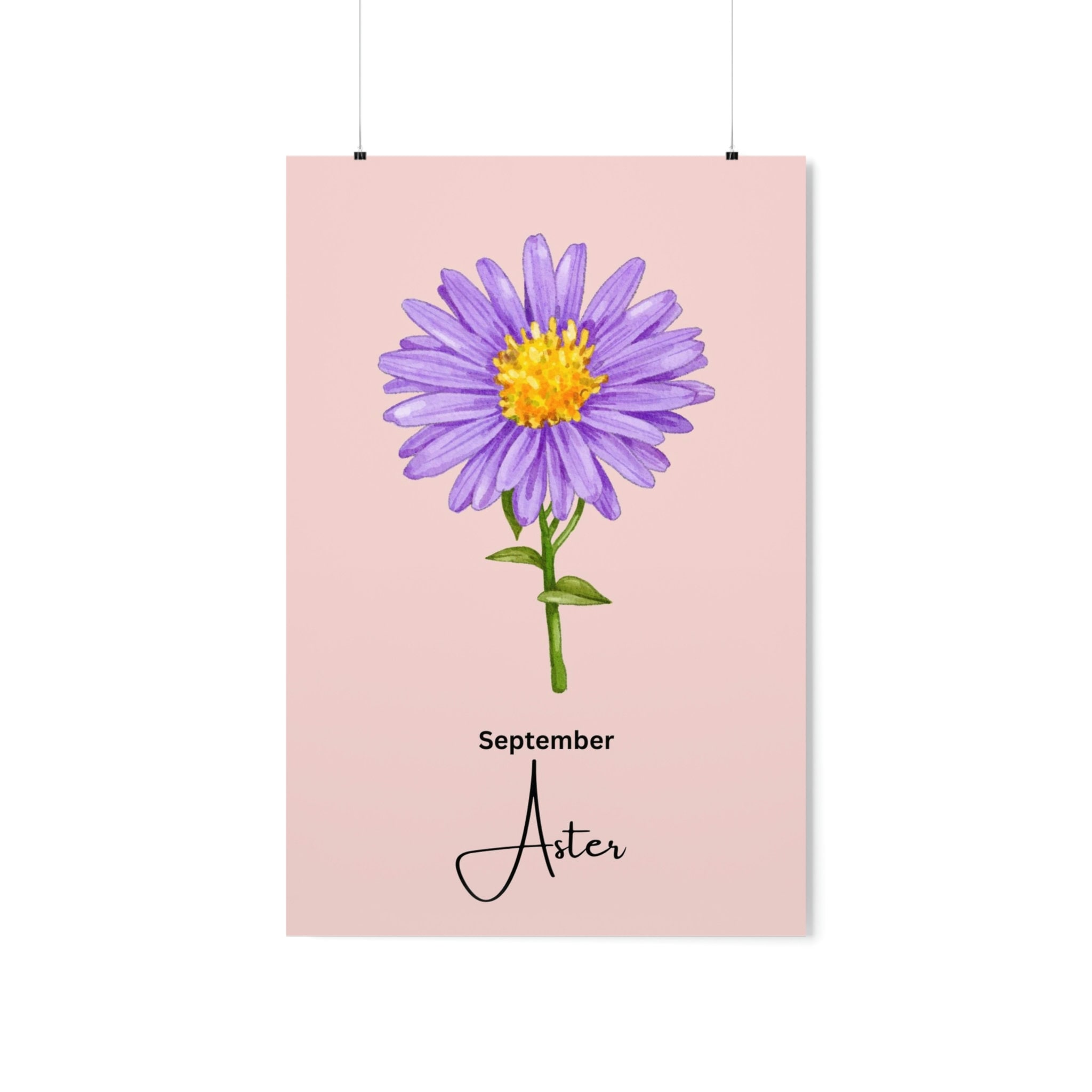 September, Aster, Birth Flower, Birth Month Flowers, Flower Poster ...