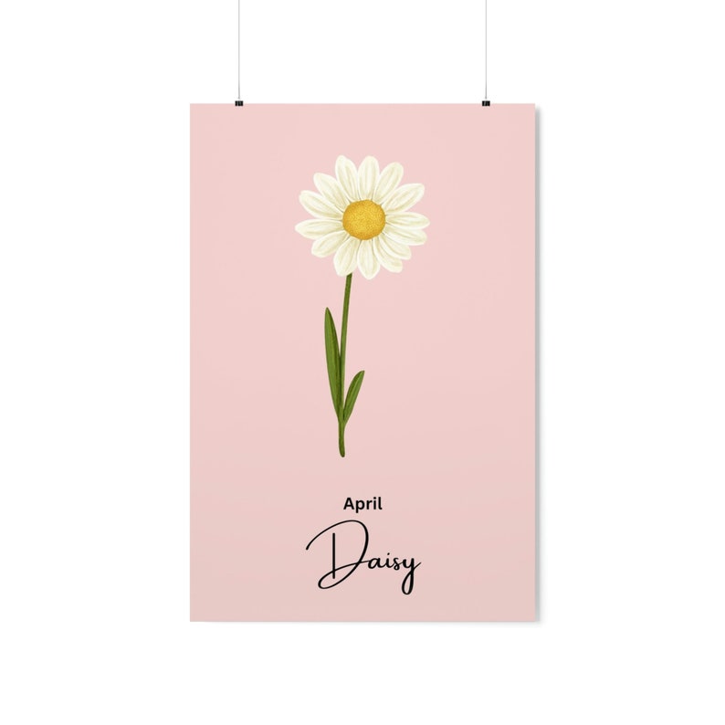 April Daisy Birth Flower Birth Month Flowers Flower - Etsy