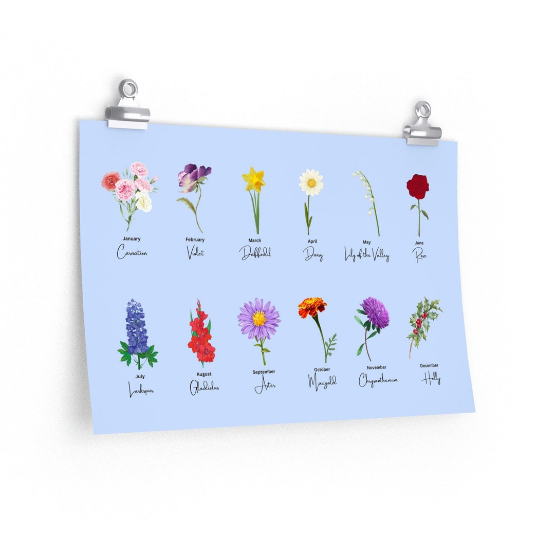 Birth Month Flower Poster Lt Blue Bkgrd Rose Carnation Violet Daffodil ...