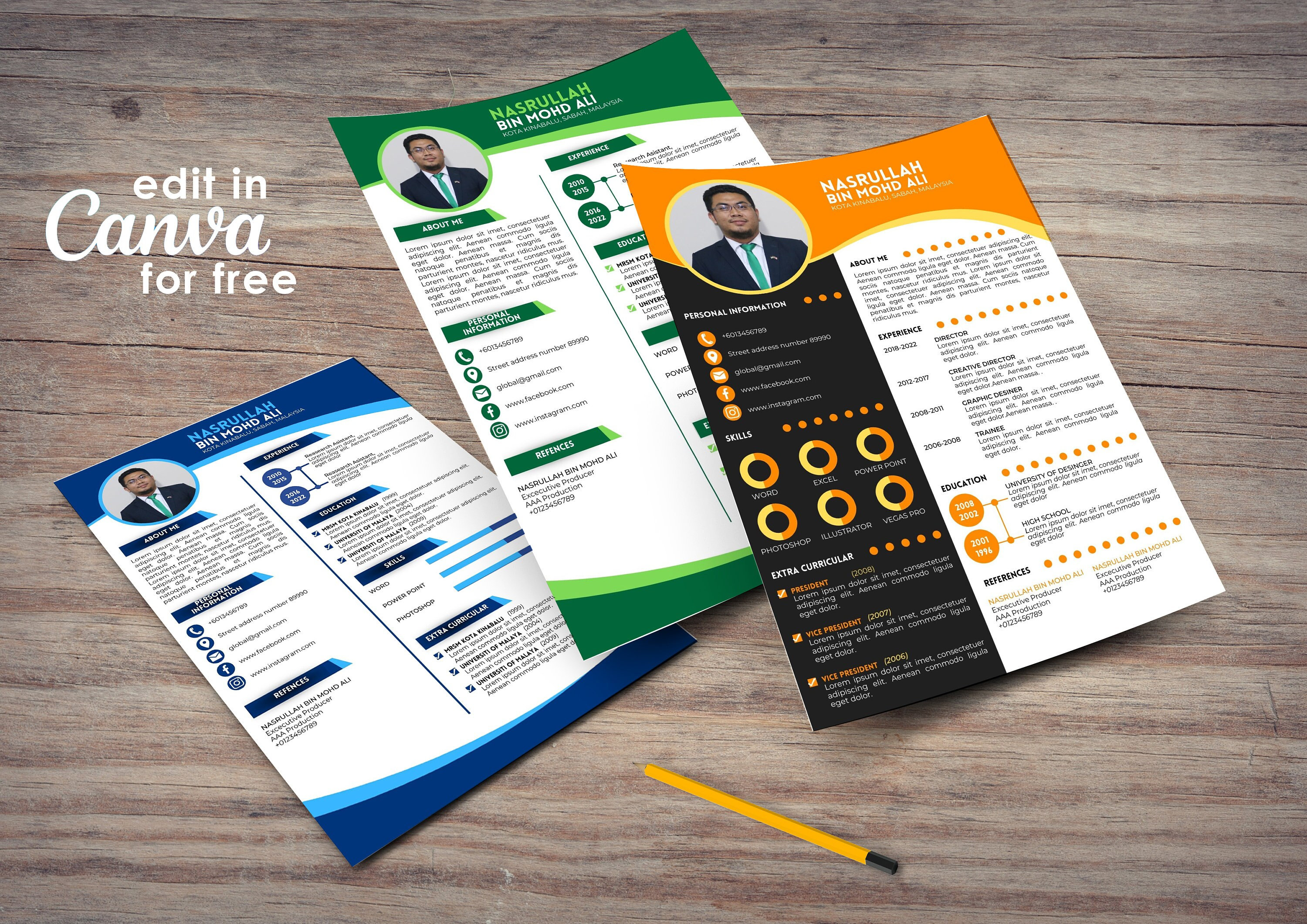 Resume Template / CV for CANVA : Professional, Creative, Modern and ...