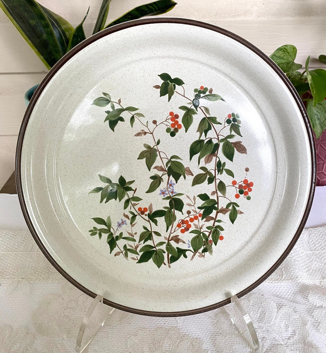 Nitto Overtones Allegheny 1707 Japan Oven to Table Plate - Etsy