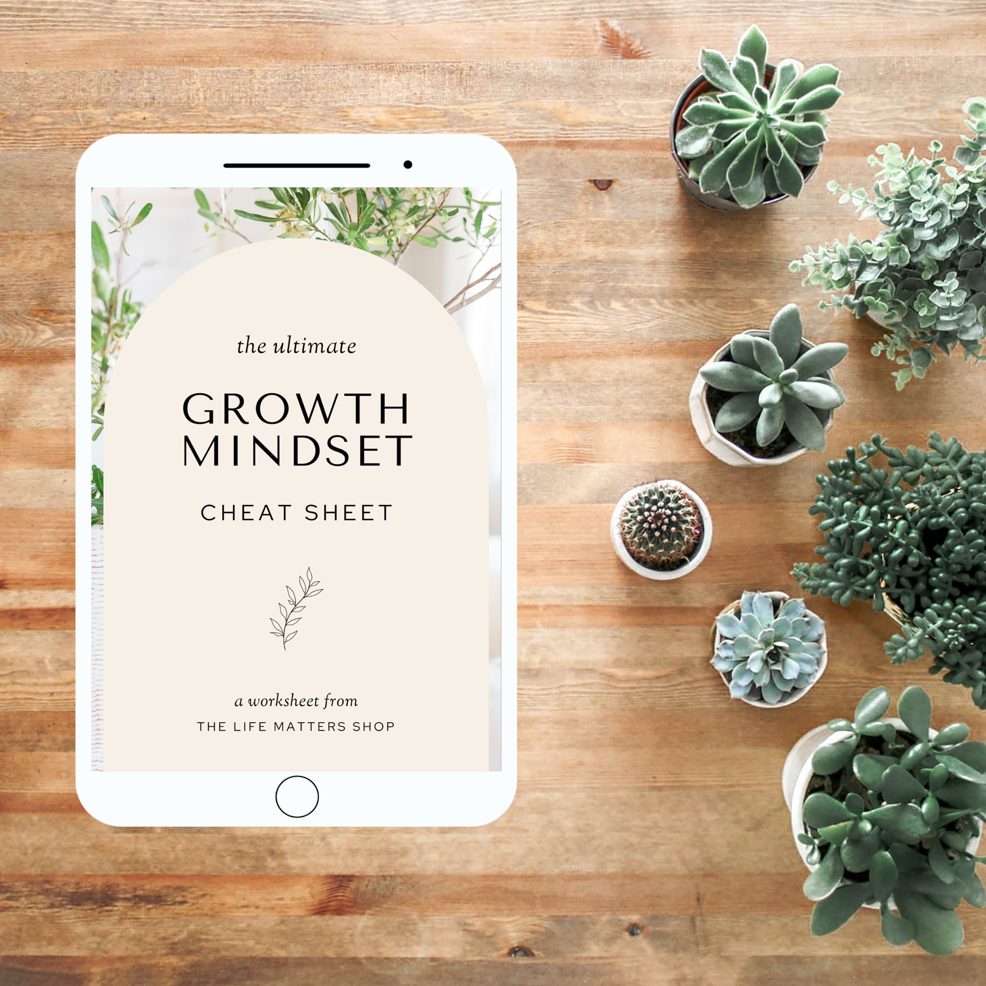 Growth Mindset Cheatsheet, Life Coaching, Counseling, Therapist ...