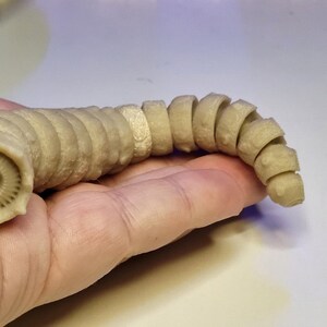 Articulated Dune Sandworm 3D Flexible Figure - Etsy