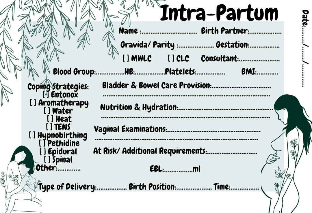 Student Midwife Intrapartum Check Digital Download - Etsy