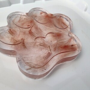 Clear Resin Cast Preserved Cat/dog Fur/ashes Memorial Paw Print ...