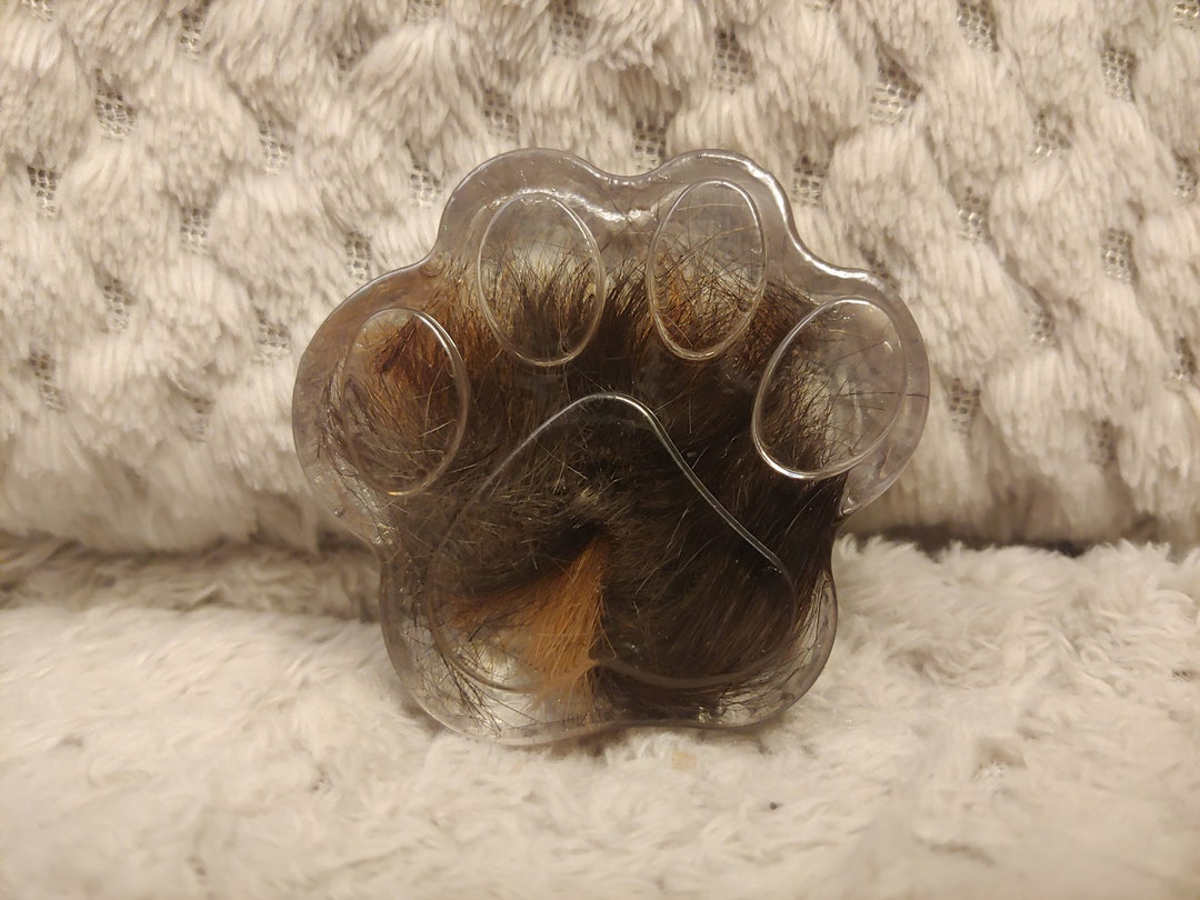 Clear Resin Cast Preserved Cat/dog Fur/ashes Memorial Paw Print ...