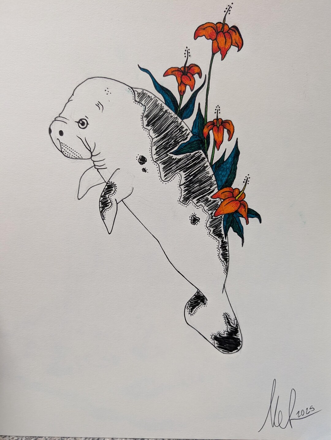 Linework Sketch "sea Cow" - Etsy